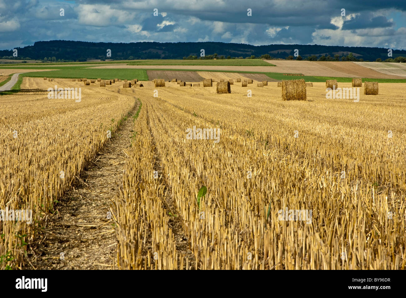 Hay bales in harvested corn field, Normandy, France Stock Photo - Alamy