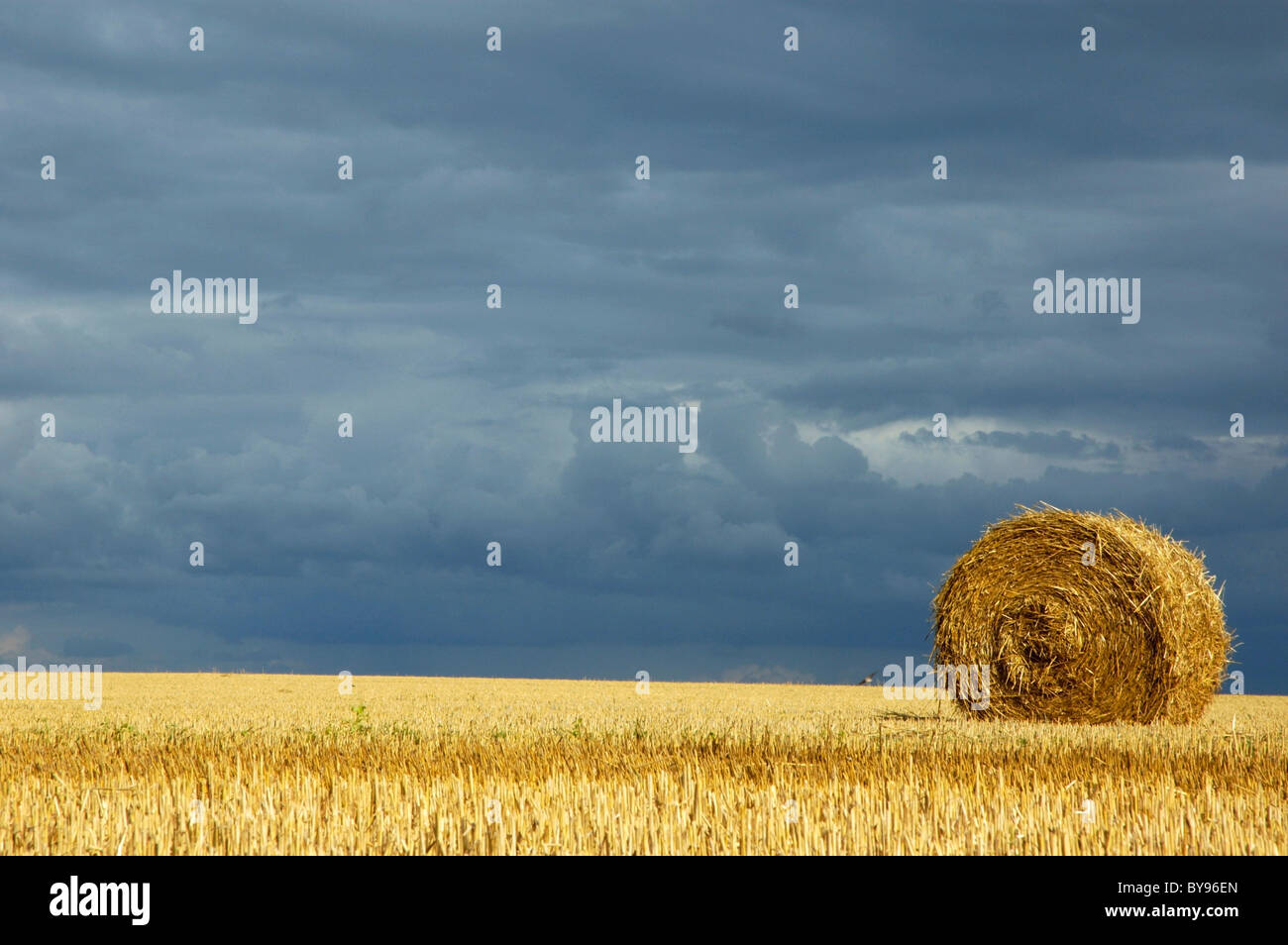 Hay bales in harvested corn field, Normandy, France Stock Photo - Alamy