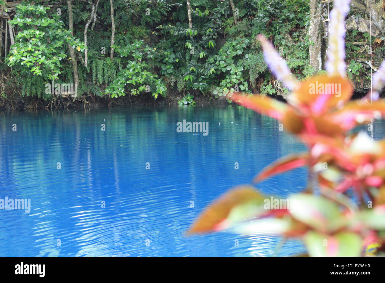 Vanuatu Blue Pool Stock Photo - Alamy