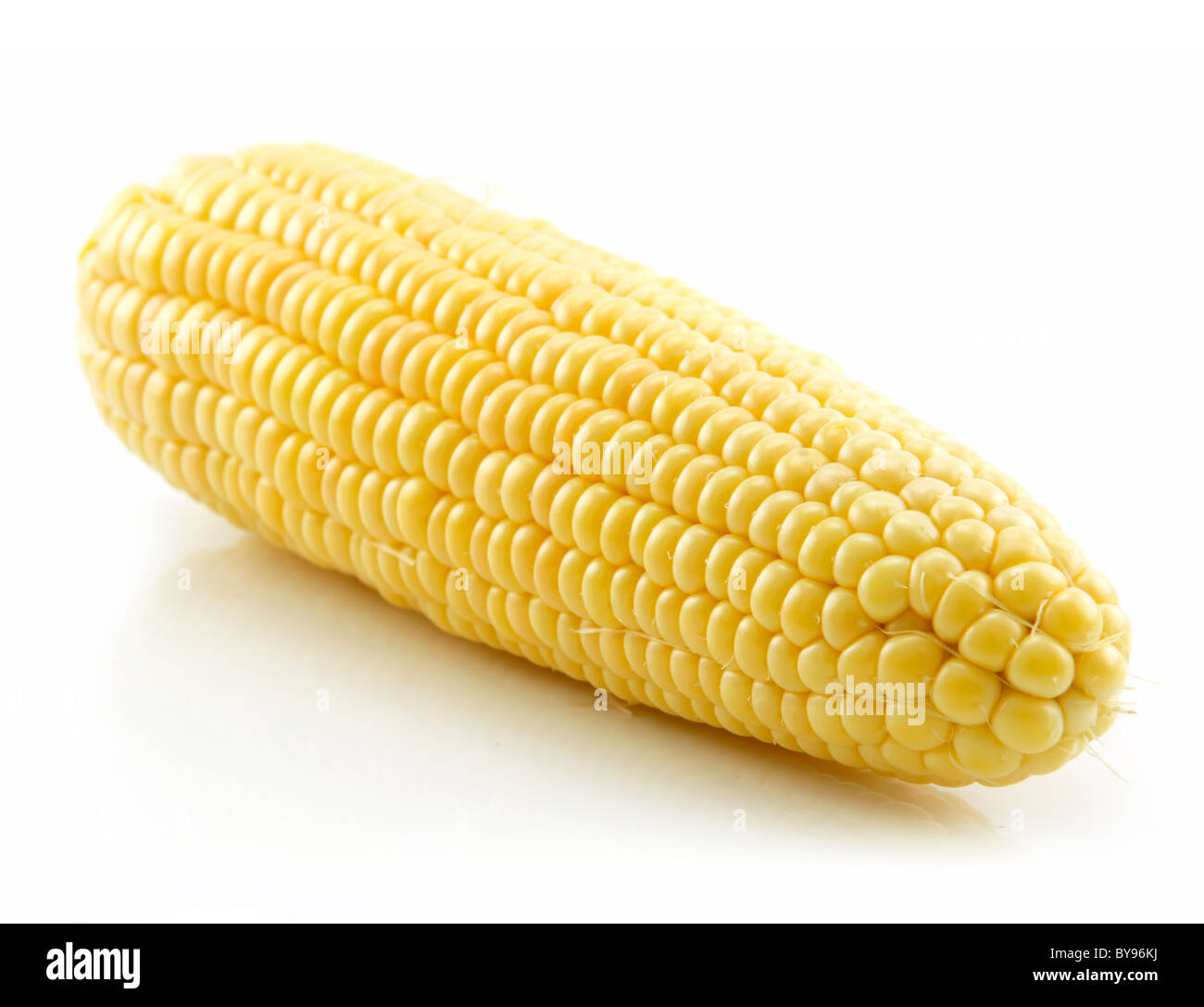 Ripe Yellow Corn Isolated on White Stock Photo - Alamy