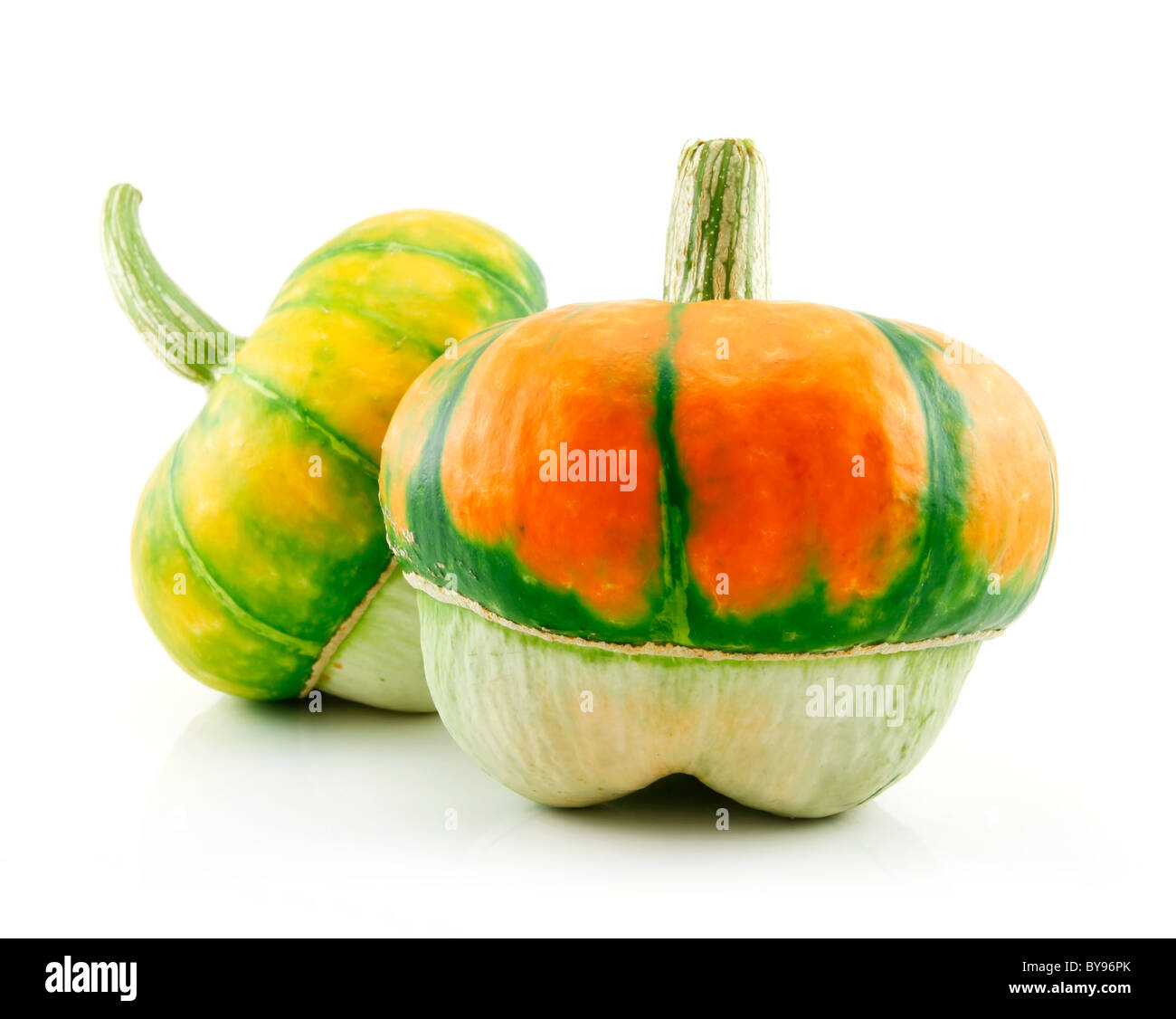 Ripe Gourds Vegetable Hybrid Isolated on White Stock Photo - Alamy