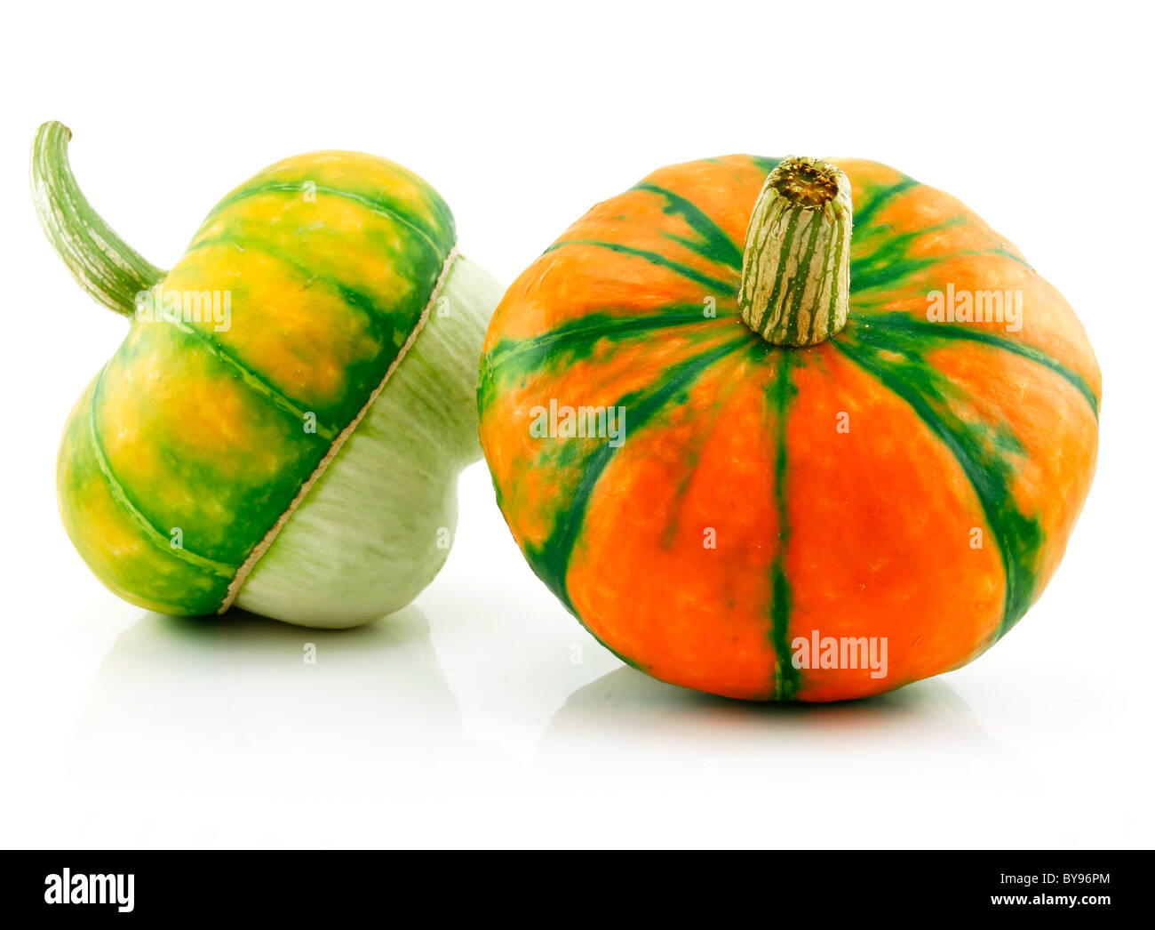 Ripe Gourds Vegetable Hybrid Isolated on White Stock Photo - Alamy