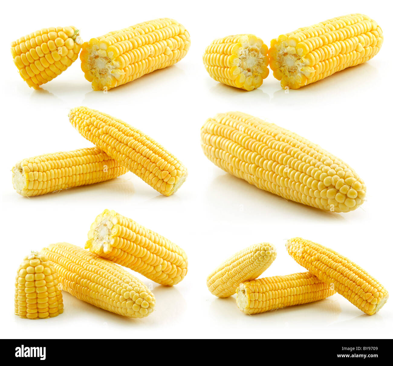 Set of Ripe Yellow Corn Isolated on White Stock Photo - Alamy