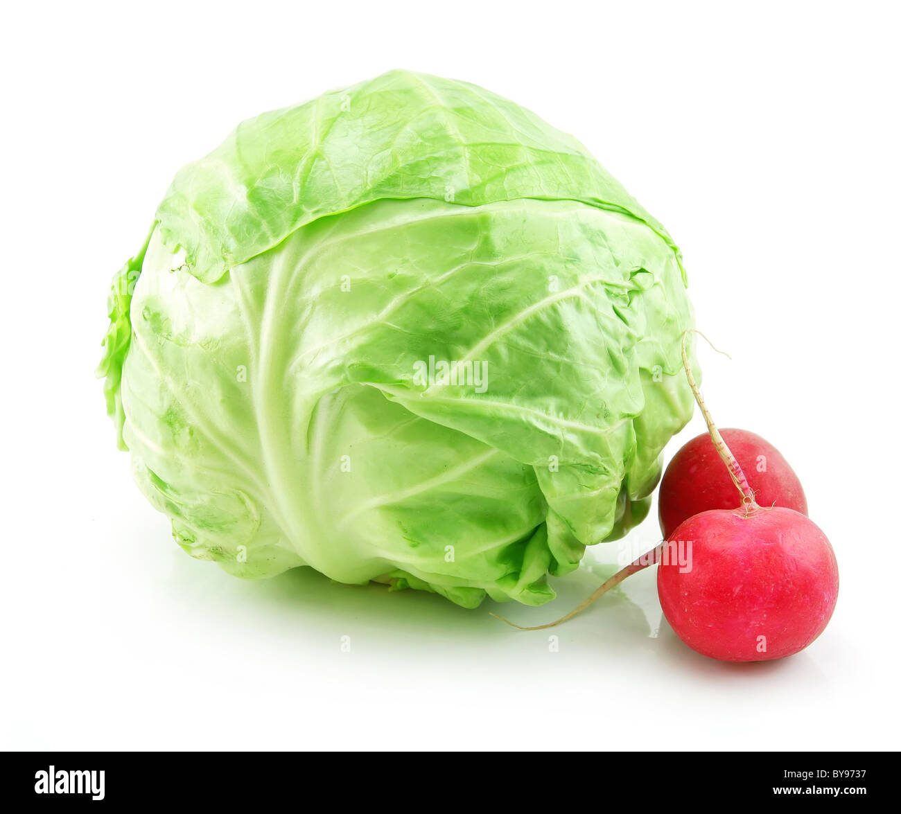 Ripe Cabbage and Radishes Isolated on White Stock Photo - Alamy