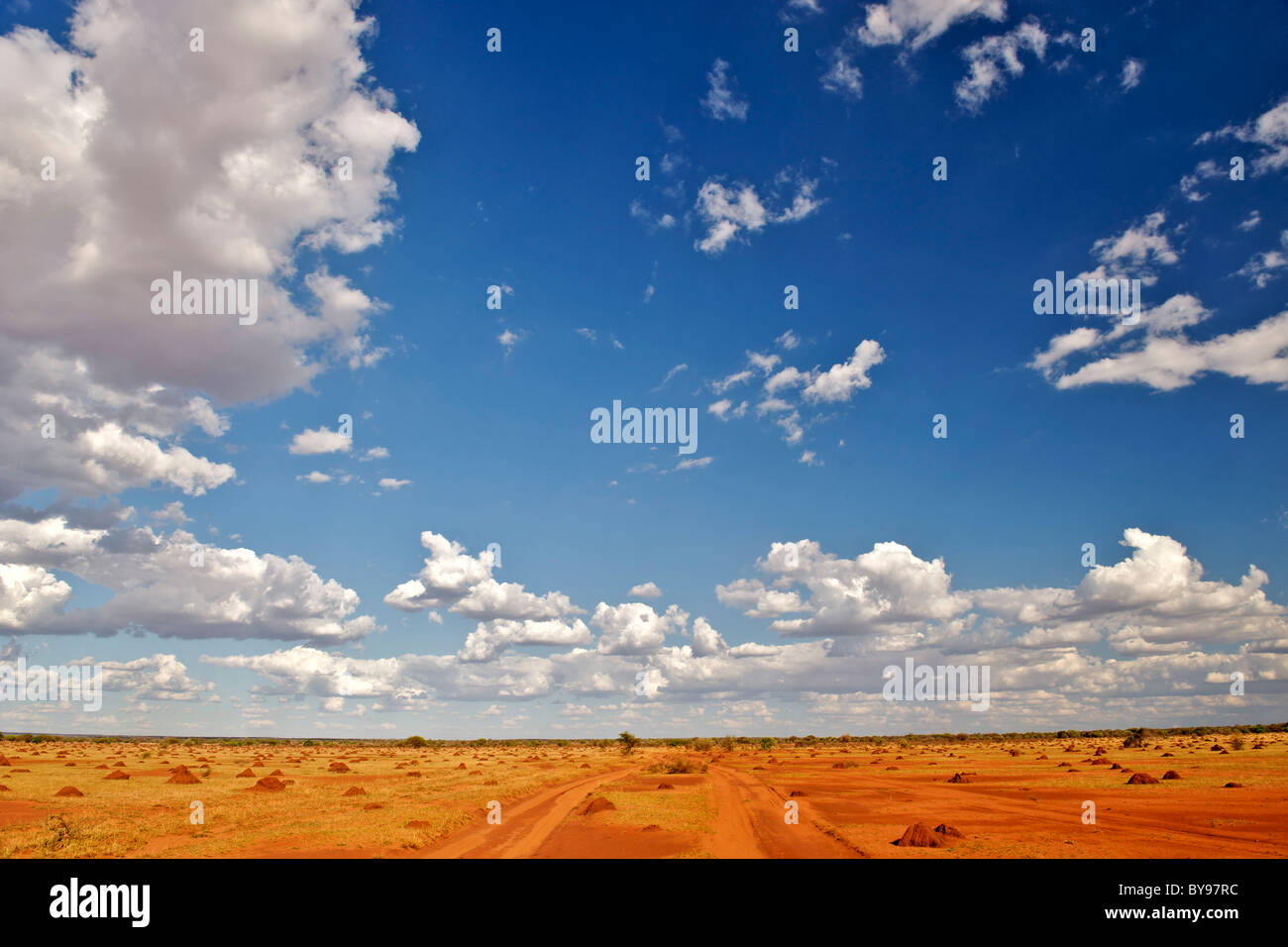African anthill hi-res stock photography and images - Alamy