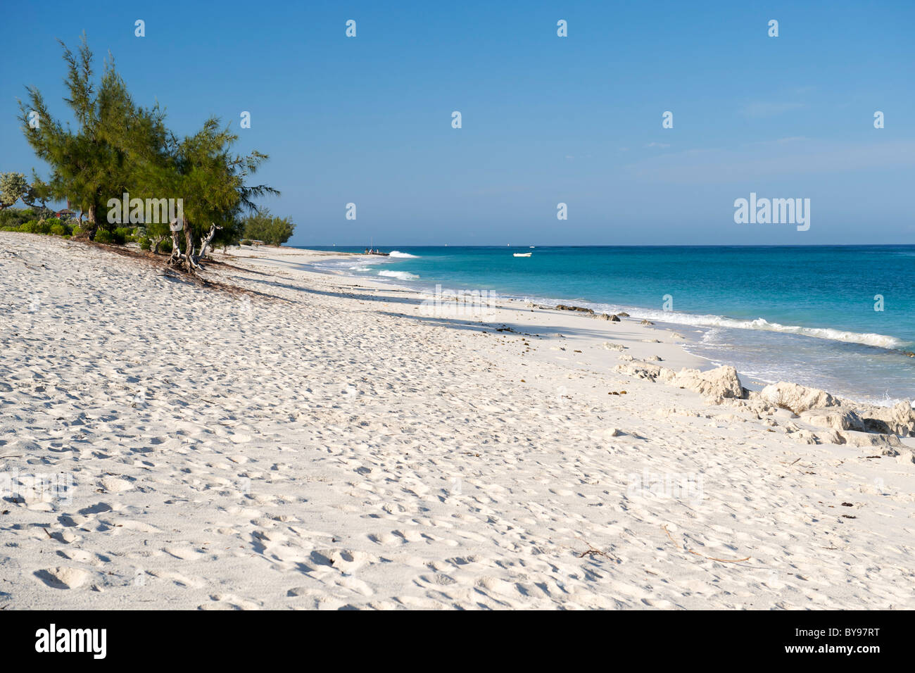 Mozambique channel