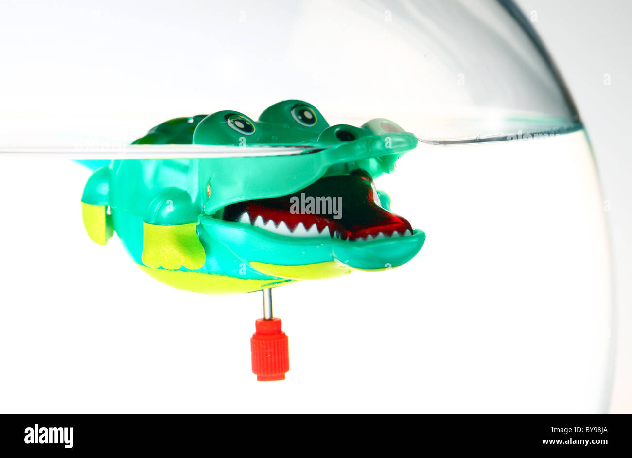 Alligator, crocodile, wind up toy, plastic, in a fish bowl Stock Photo ...