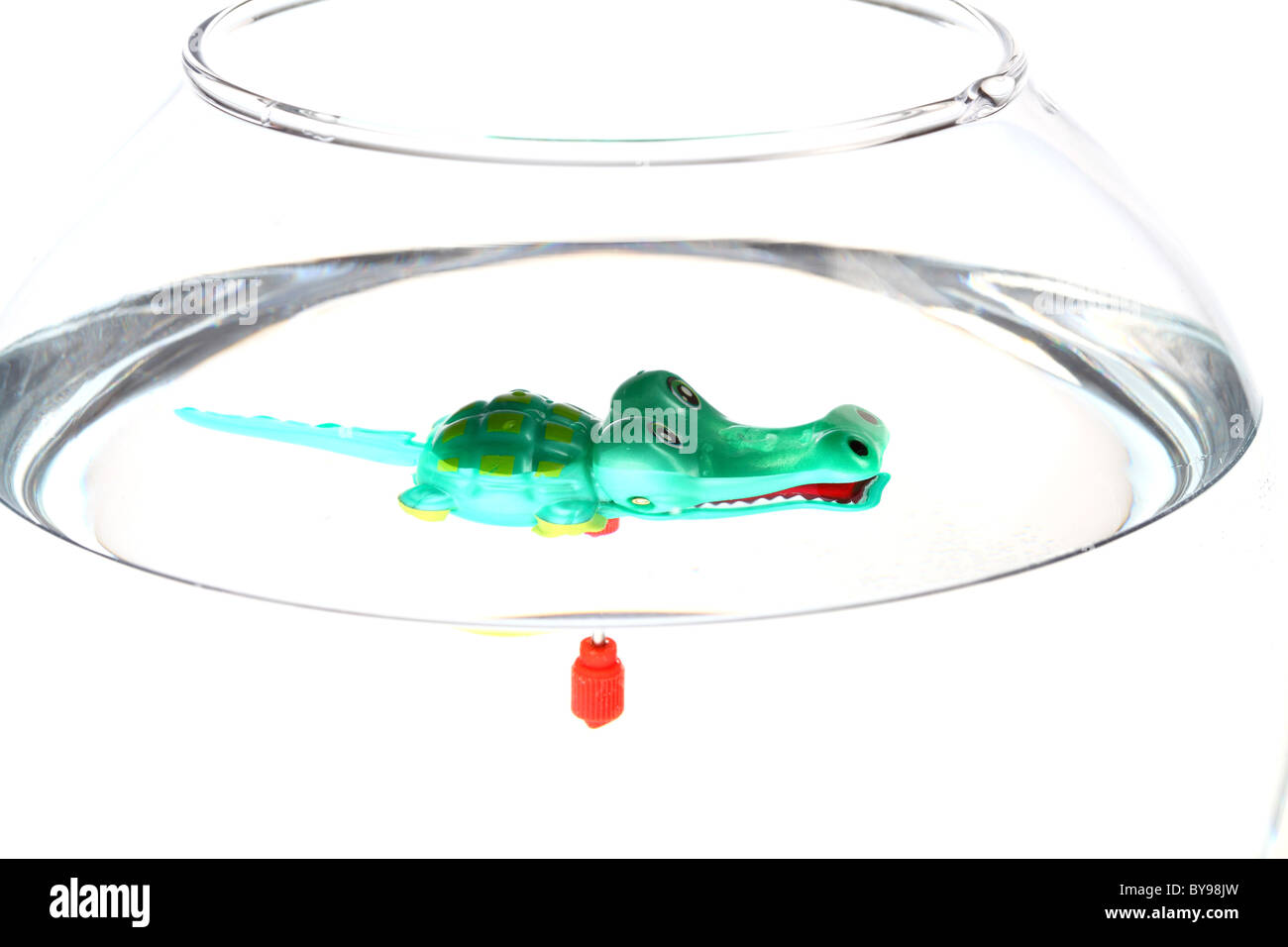 Alligator, crocodile, wind up toy, plastic, in a fish bowl Stock Photo ...