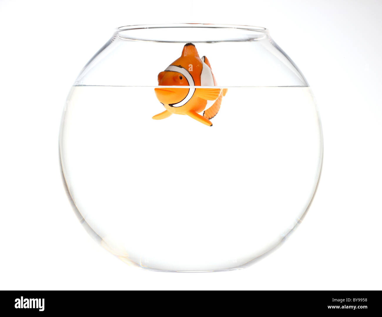 Round Fish Bowl Stock Photos & Round Fish Bowl Stock Images - Alamy