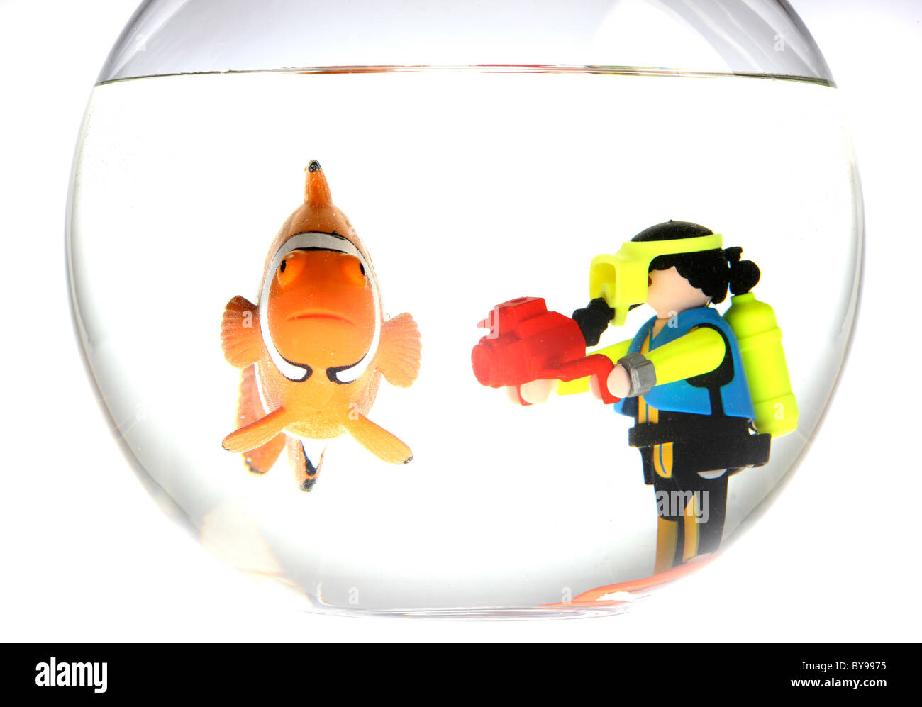 Diver with an underwater camera and a clown fish in a fish bowl Stock ...
