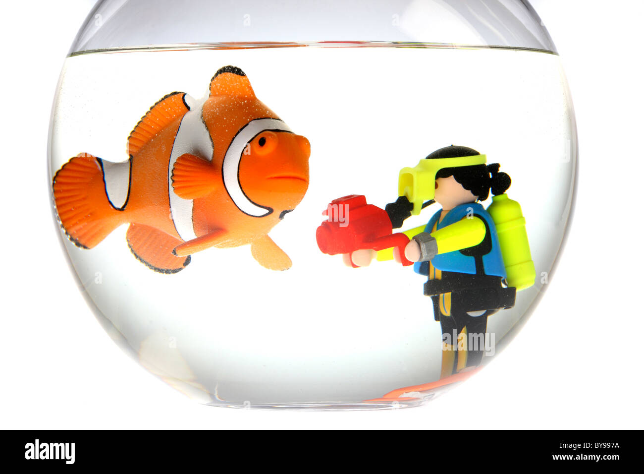 Diver with an underwater camera and a clown fish in a fish bowl Stock ...