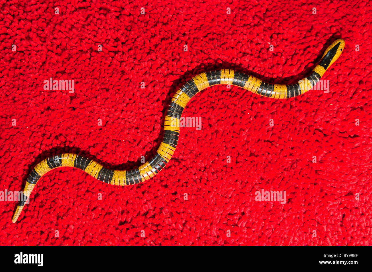 Venomous snake head model hi-res stock photography and images - Alamy