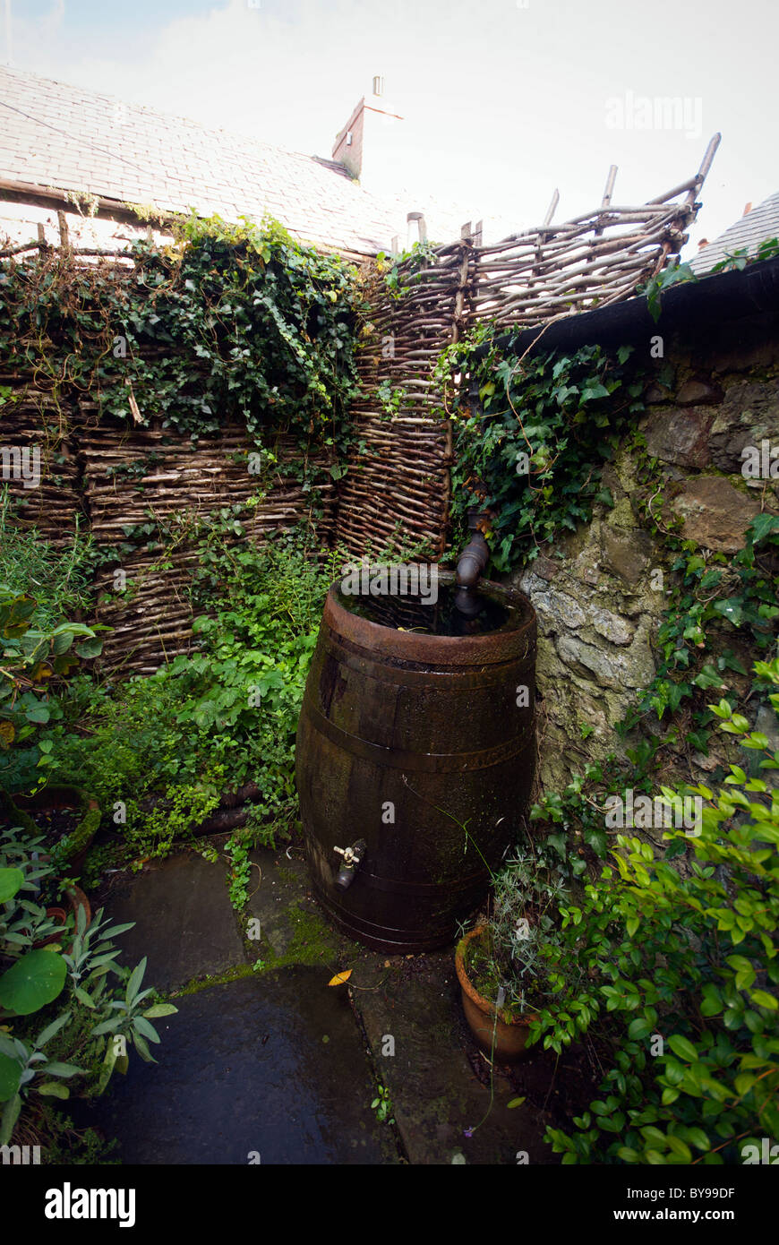 Tudor Merchants House Tenby Pembrokeshire Wales UK Exterior National ...