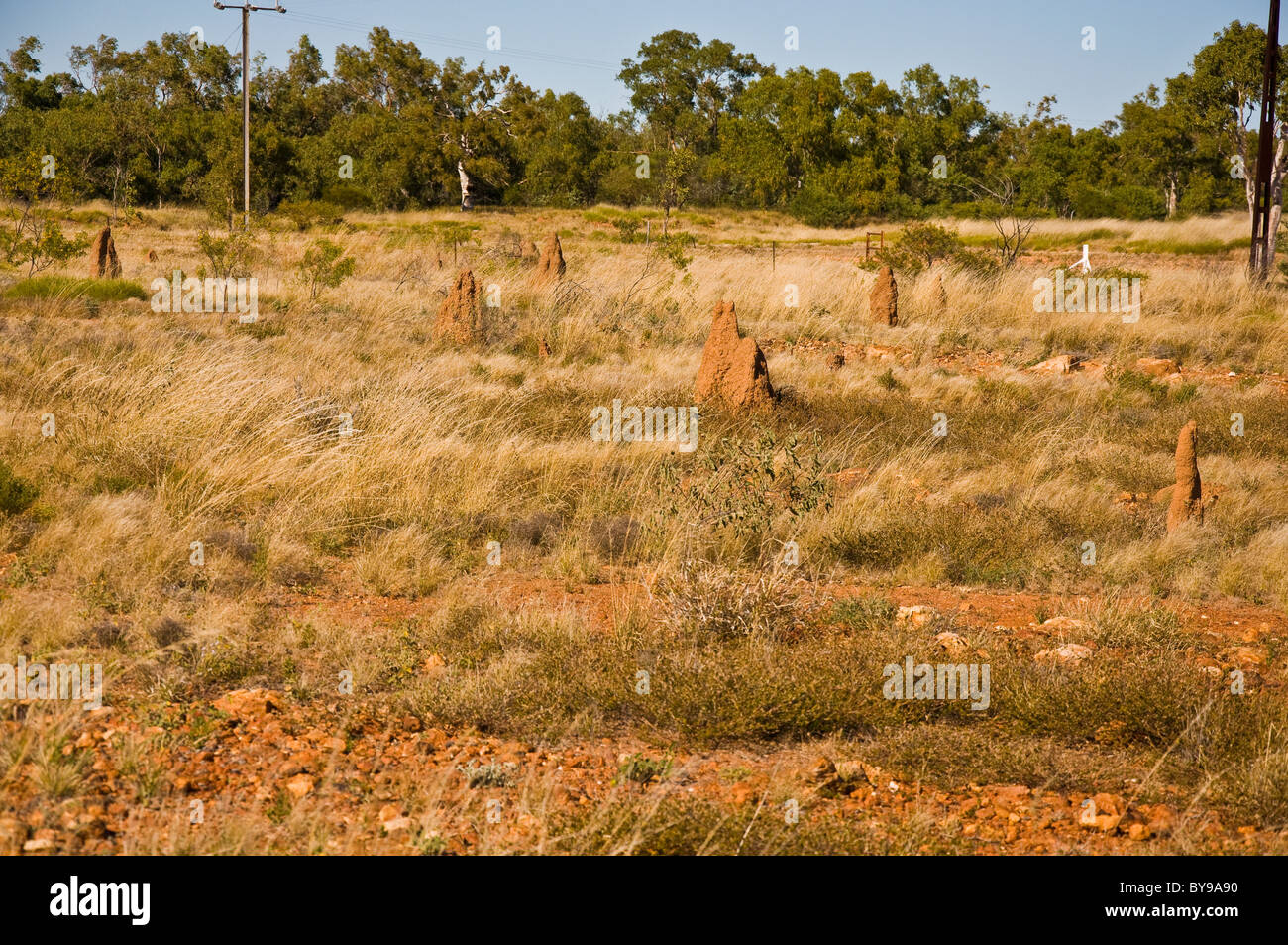 landscape in the australian outback, northern territory Stock Photo - Alamy