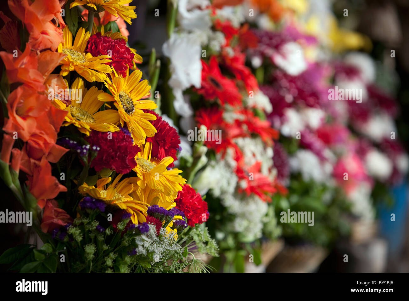 Close-up of a flower bouquet Stock Photo - Alamy