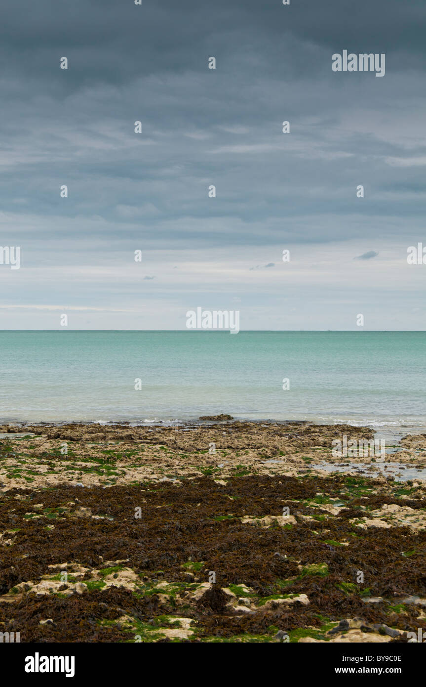 Seashore with rocks & seaweed Stock Photo - Alamy