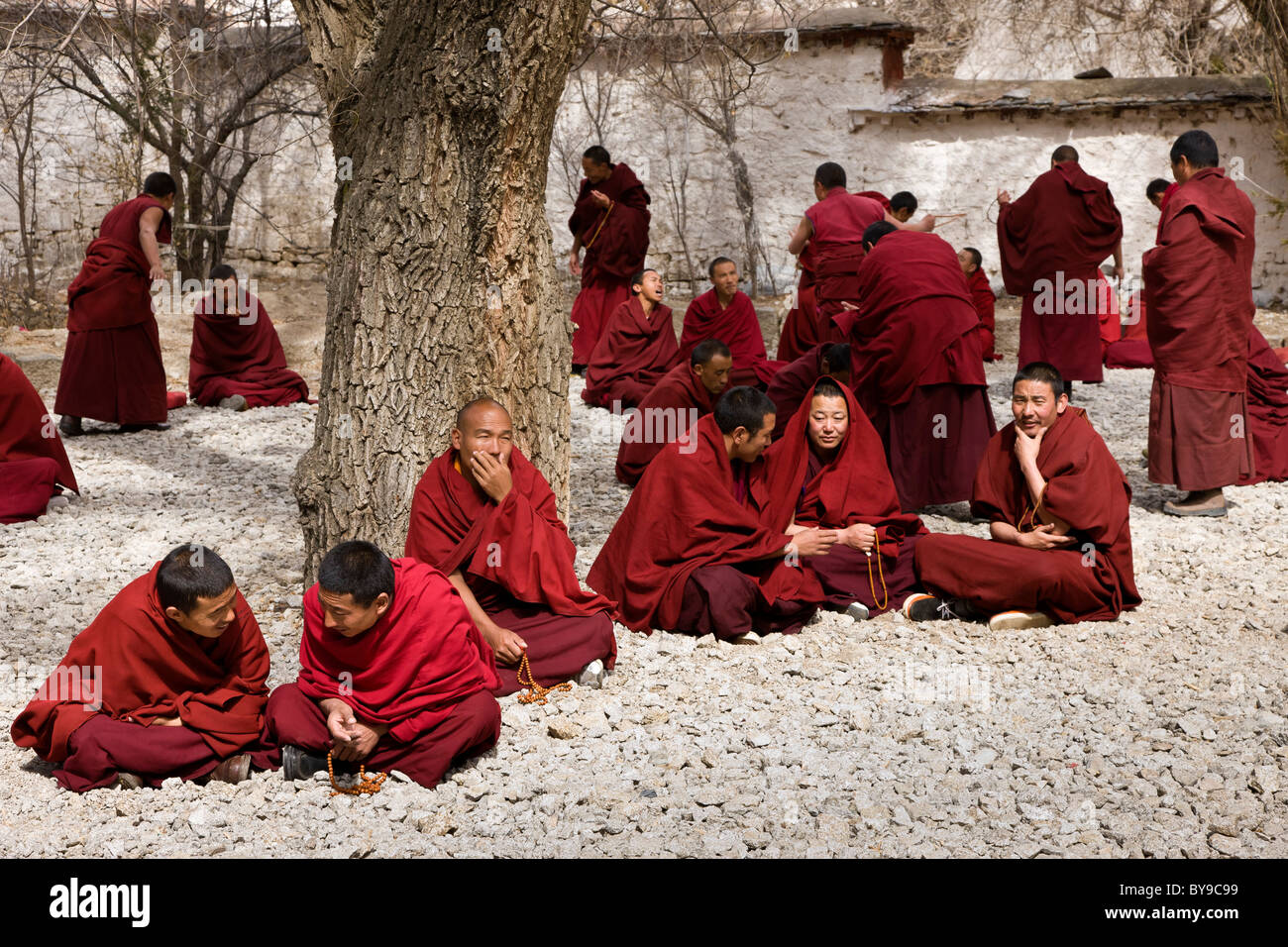 Buddha debate monks High Resolution Stock Photography and Images - Alamy