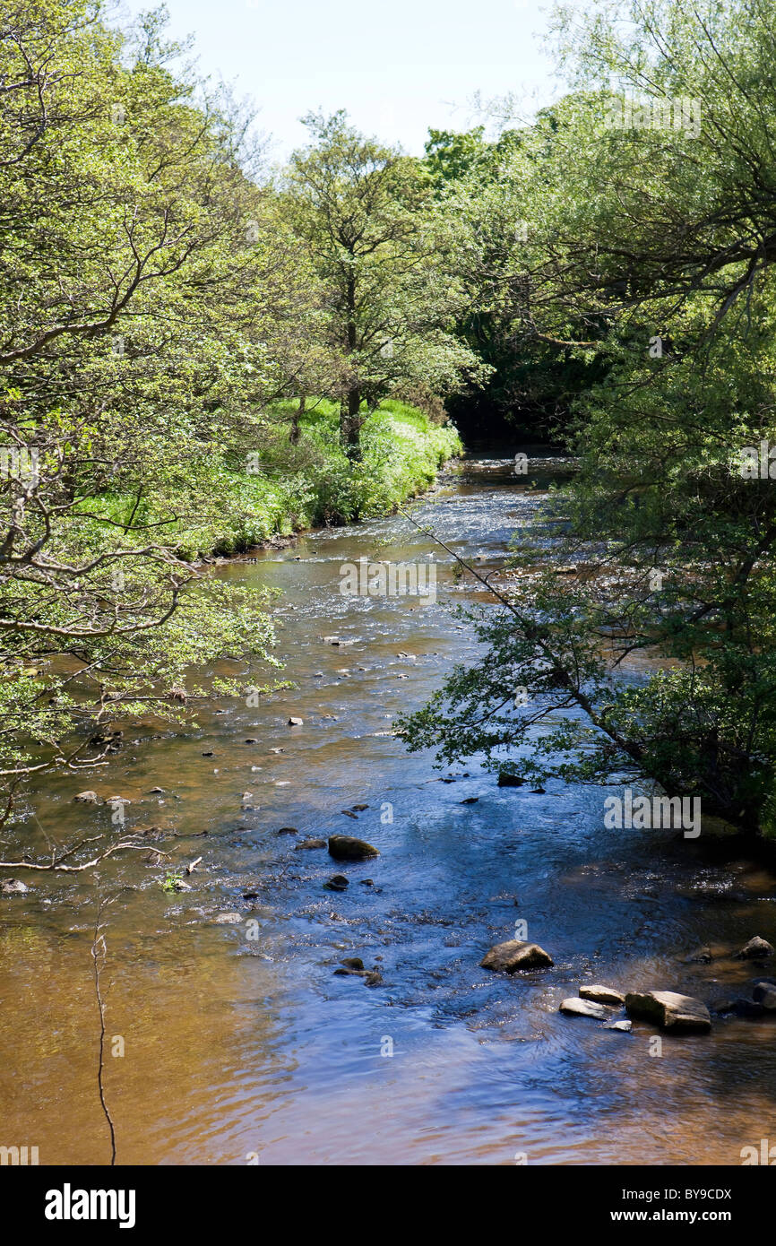 View of peaceful English stream Stock Photo - Alamy