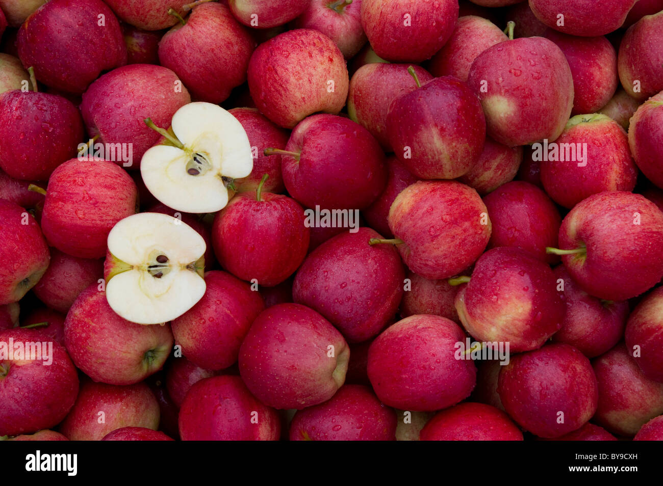 Box gala hi-res stock photography and images - Alamy