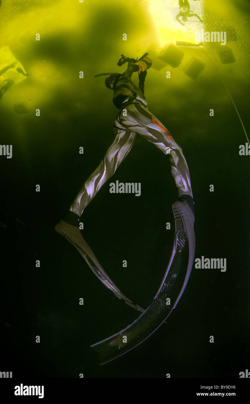 Ice freediving hi-res stock photography and images - Alamy