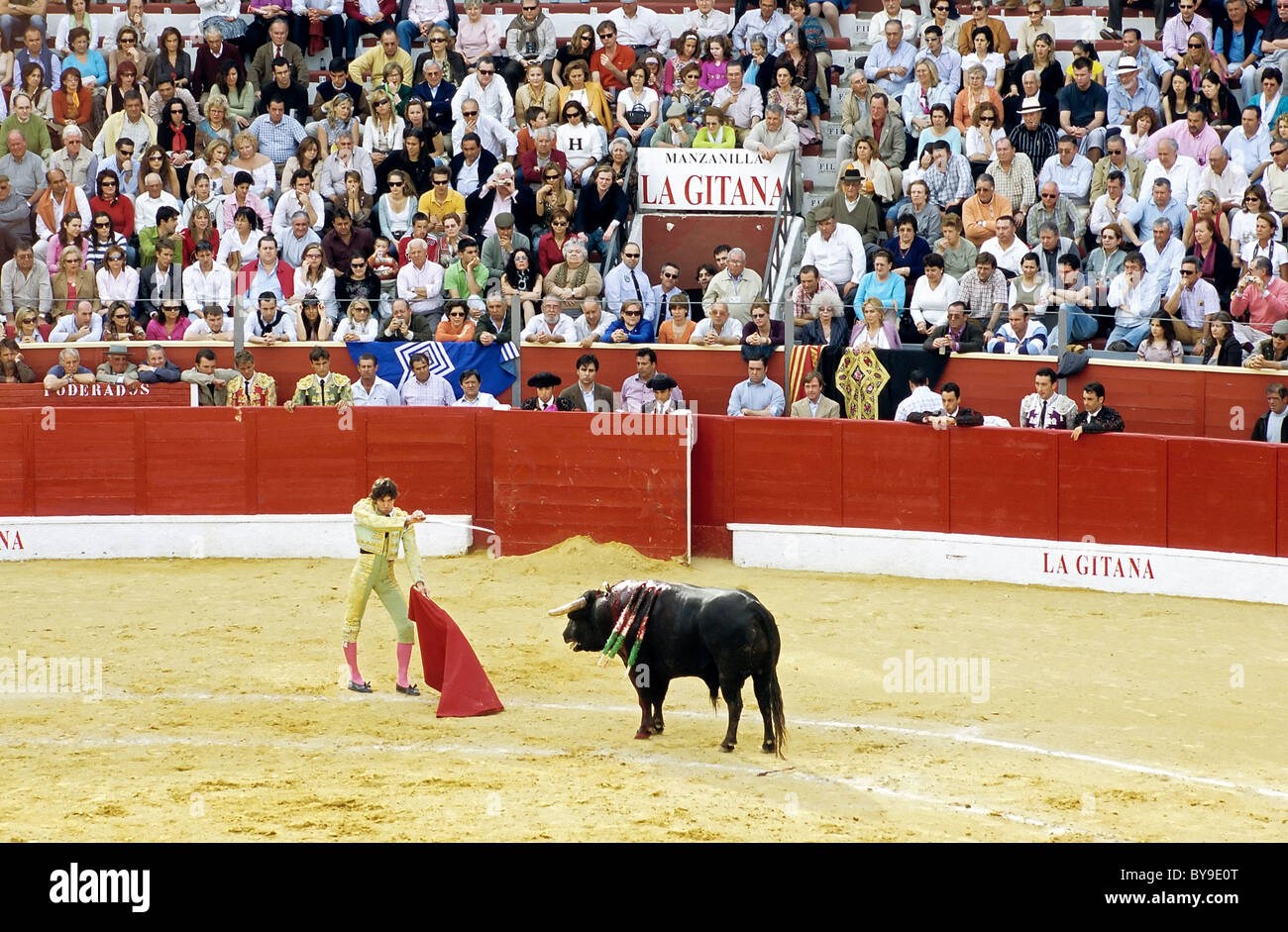 Bull fighting sword hi-res stock photography and images - Alamy