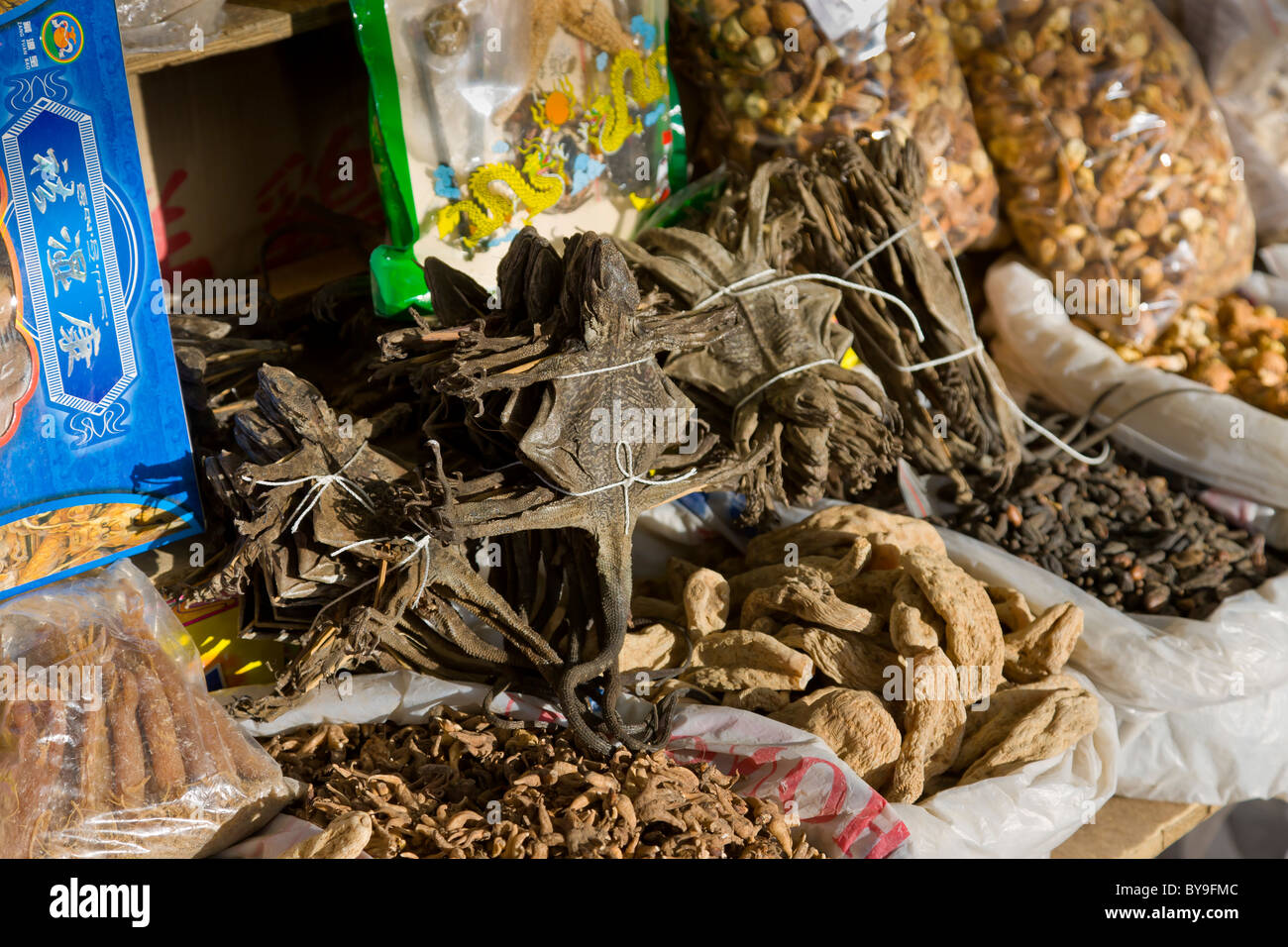 Dried frogs hi-res stock photography and images - Alamy