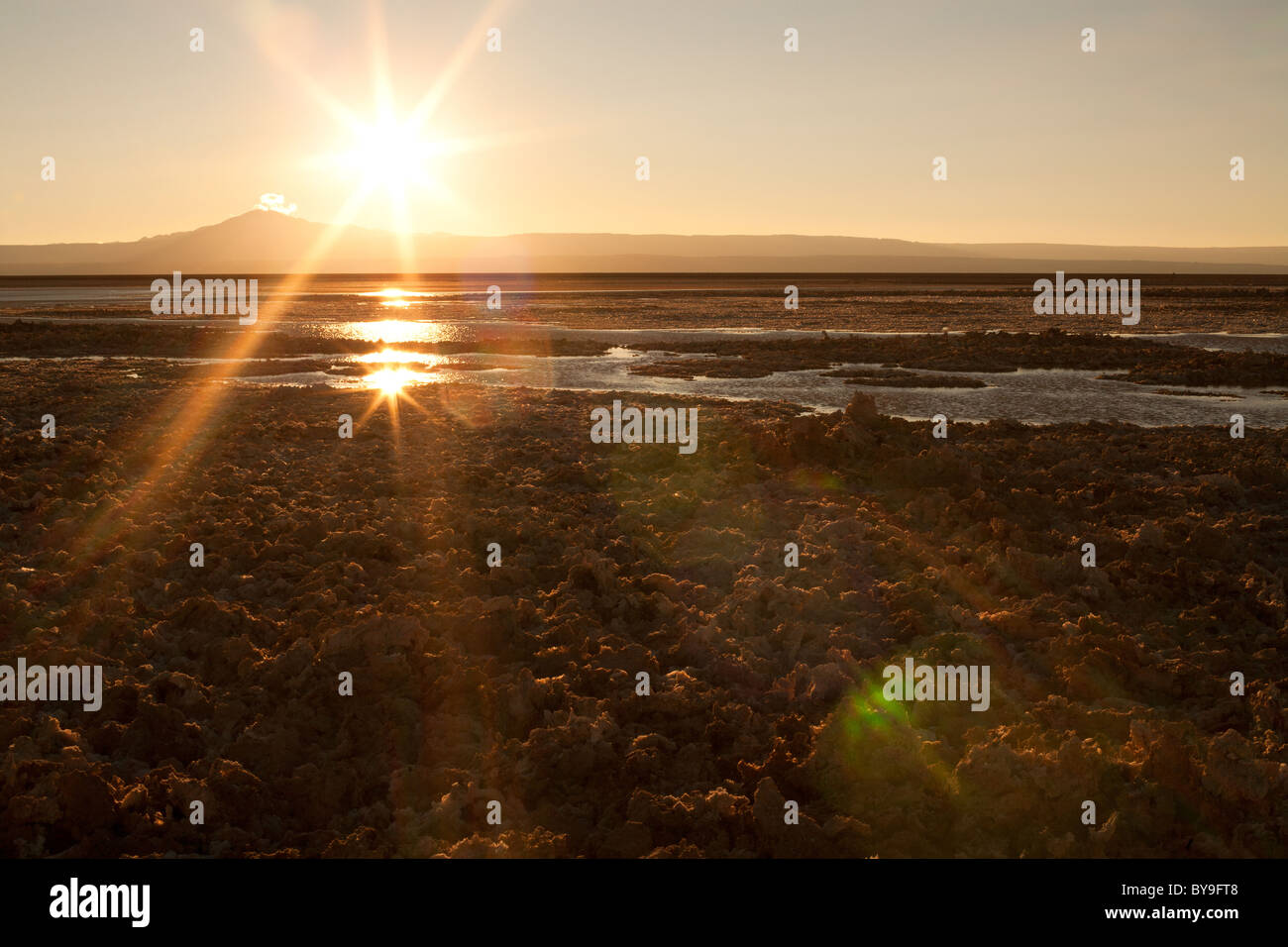 Chaxa lagoon in the middle of the “Salar de Atacama” (Atacama Salt Lake ...