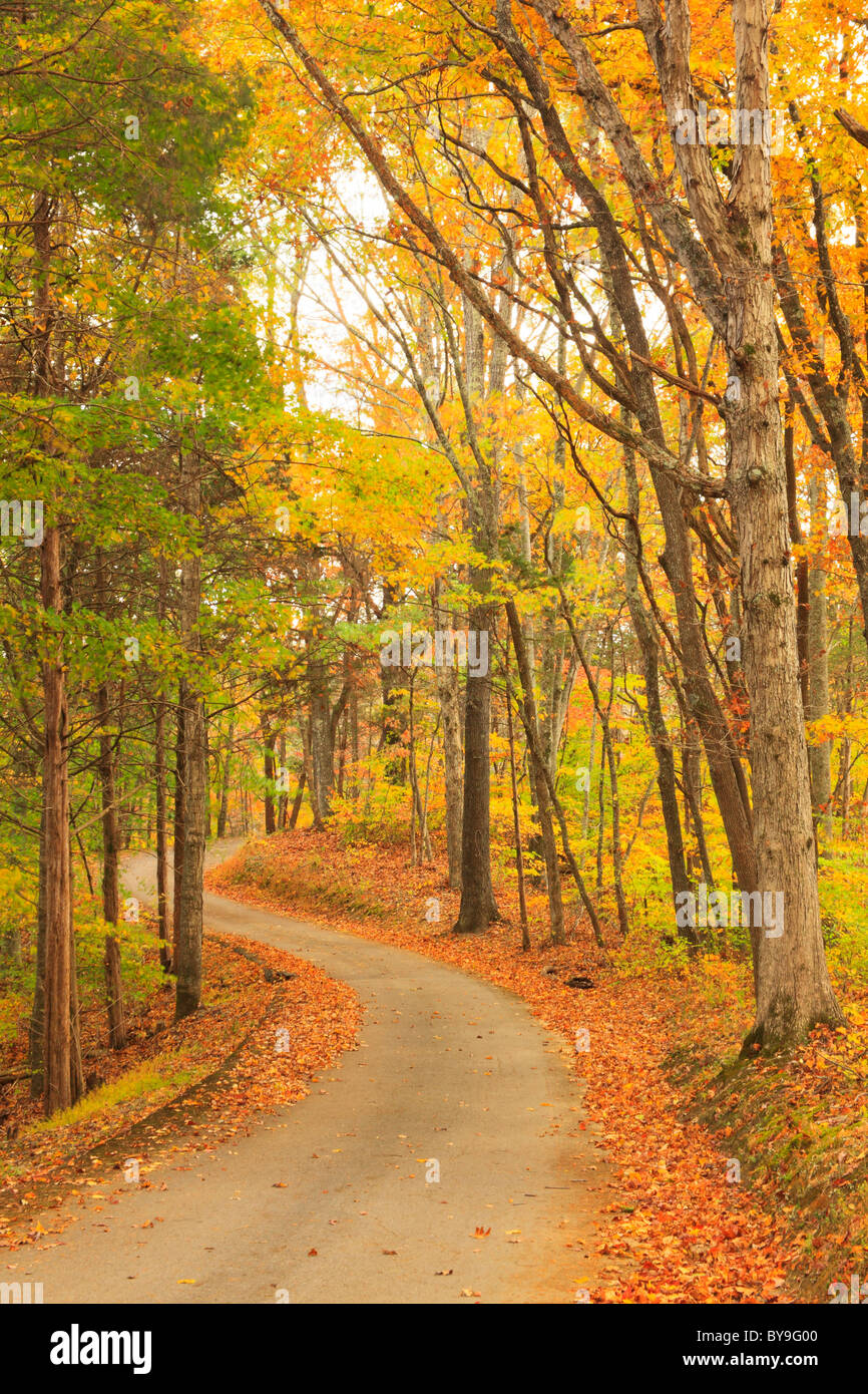 Standing Stone State Park, Hilham, Tennessee, USA Stock Photo - Alamy