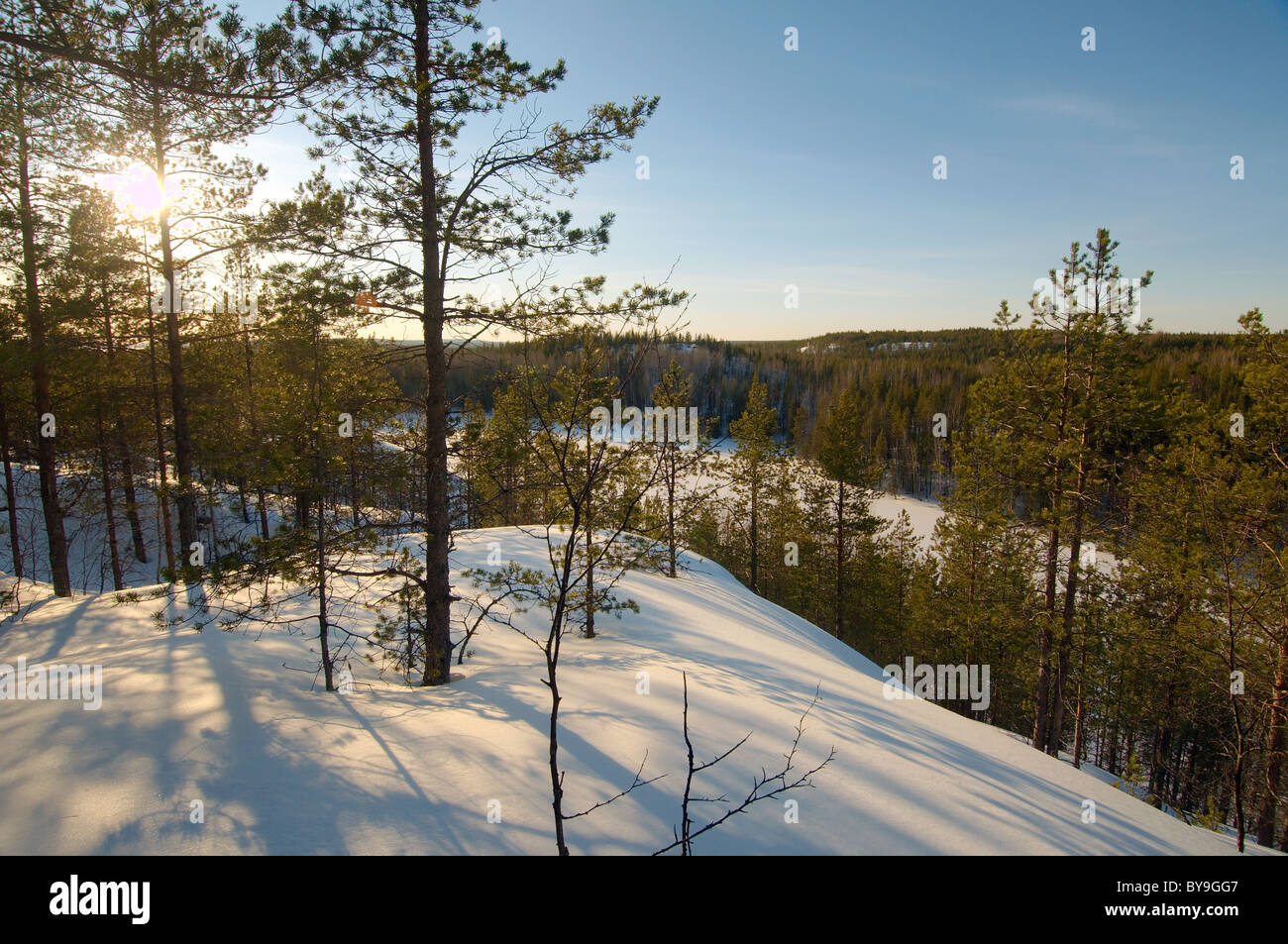 Arctic russia hi-res stock photography and images - Alamy