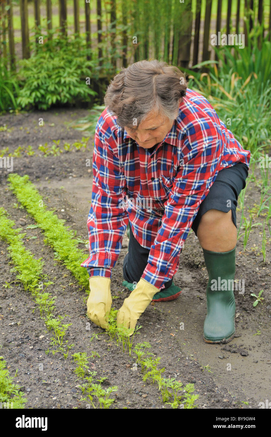 Gardening old lady weeding hi-res stock photography and images - Alamy