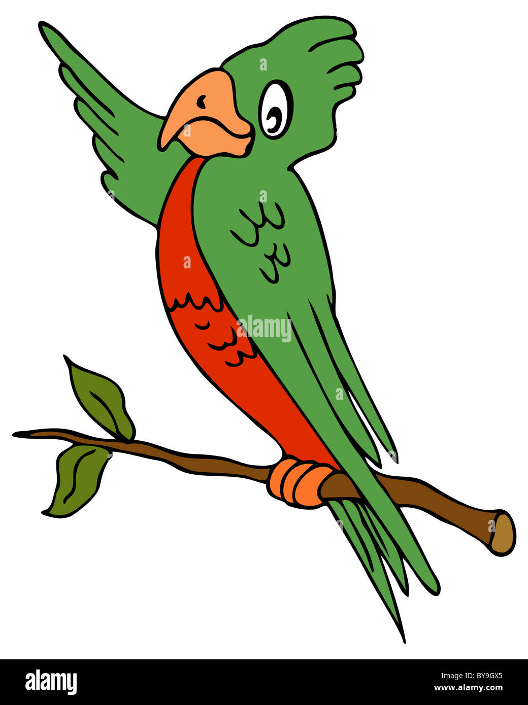 An image of a pointing parrot Stock Photo - Alamy
