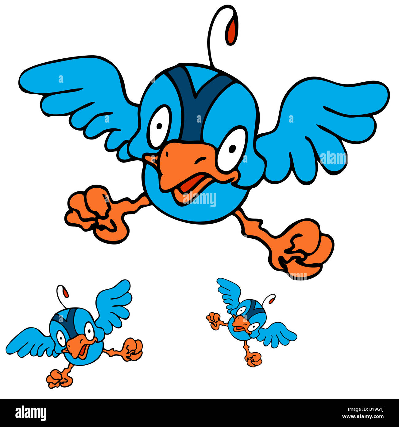 An image of a baby bird learning to fly Stock Photo - Alamy