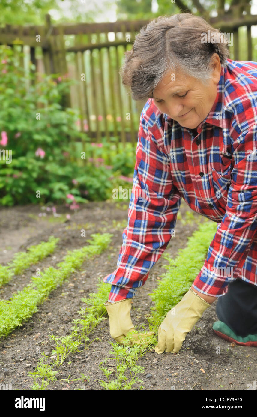 Gardening old lady weeding hi-res stock photography and images - Alamy
