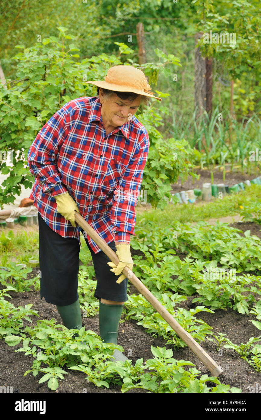 Hoeing The Garden 1900