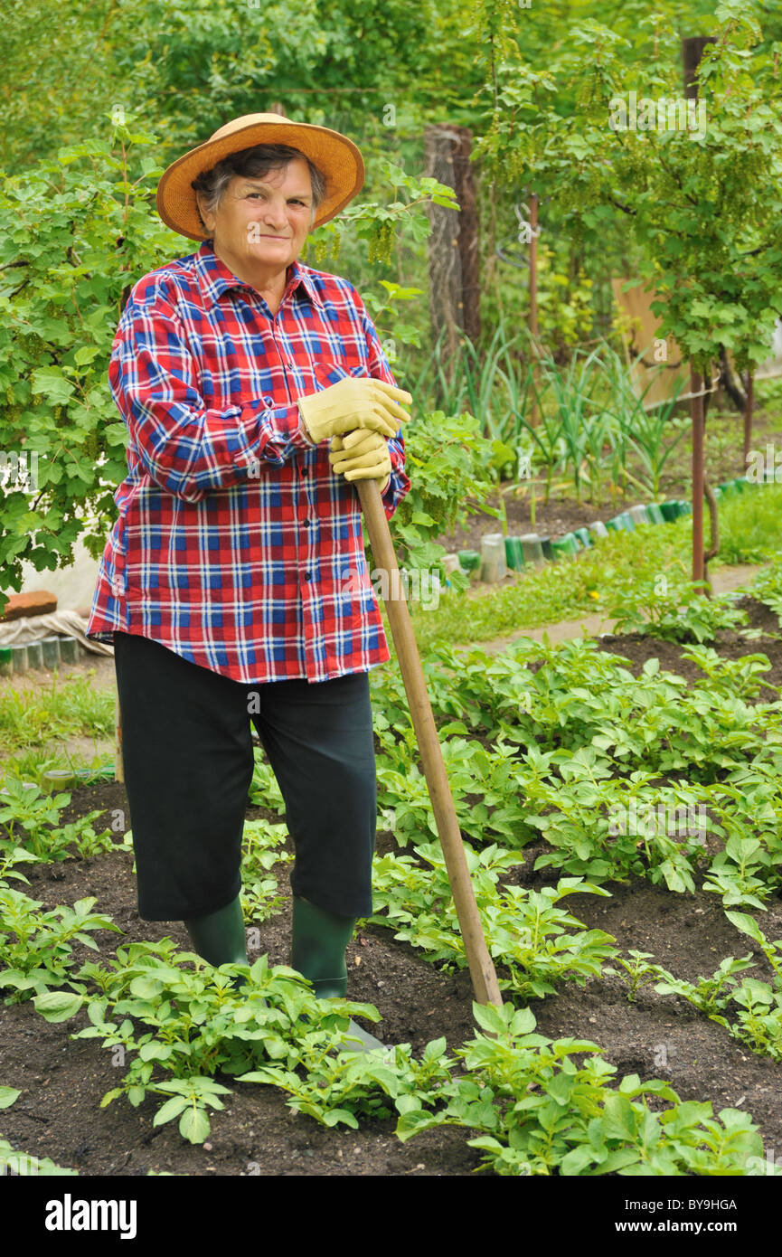 Gardening old lady weeding hi-res stock photography and images - Alamy