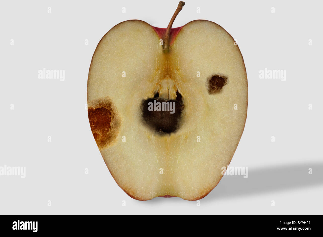 Apple stem cross section hi-res stock photography and images - Alamy