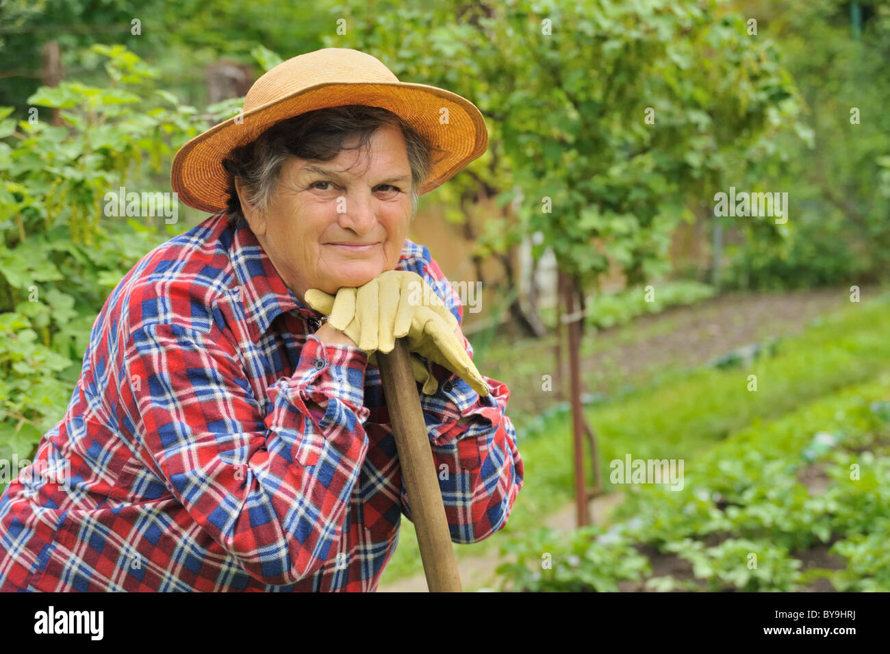 Gardening old lady weeding hi-res stock photography and images - Alamy
