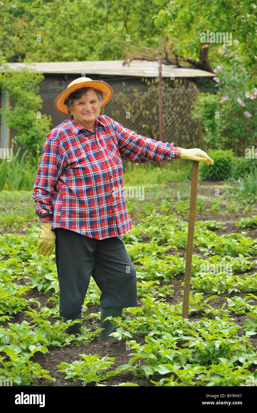 Gardening old lady weeding hi-res stock photography and images - Alamy