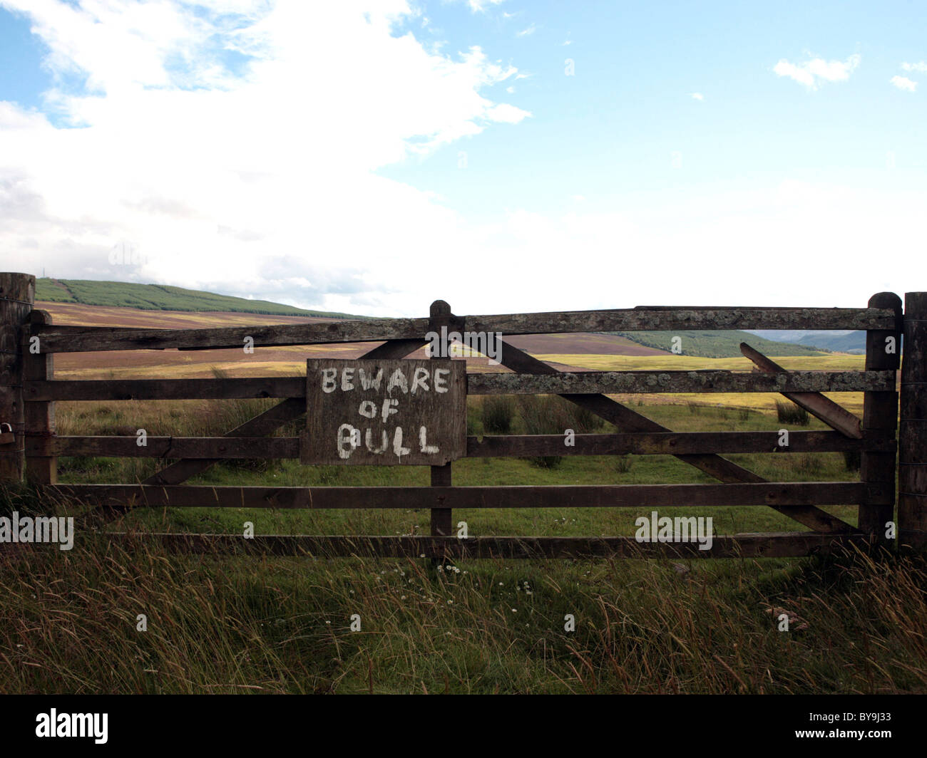 A sign on a fence that reads: Beware of Bull, honest is the best policy ...