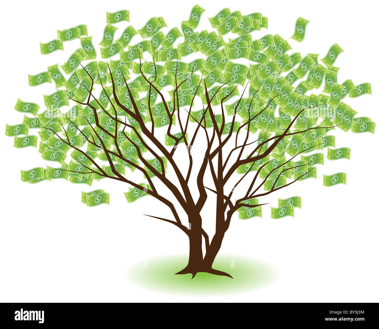 An image of a money tree Stock Photo - Alamy