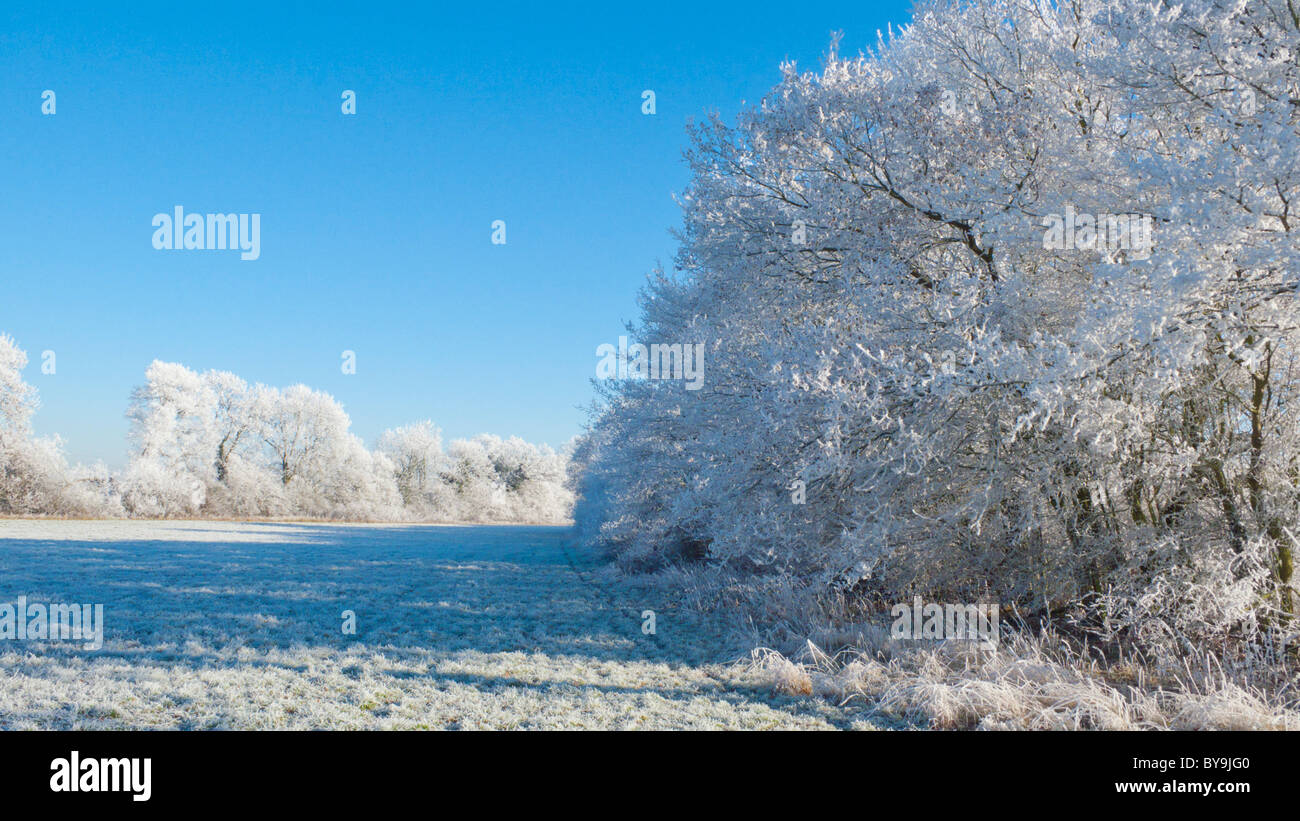 Rural scene europe hi-res stock photography and images - Alamy