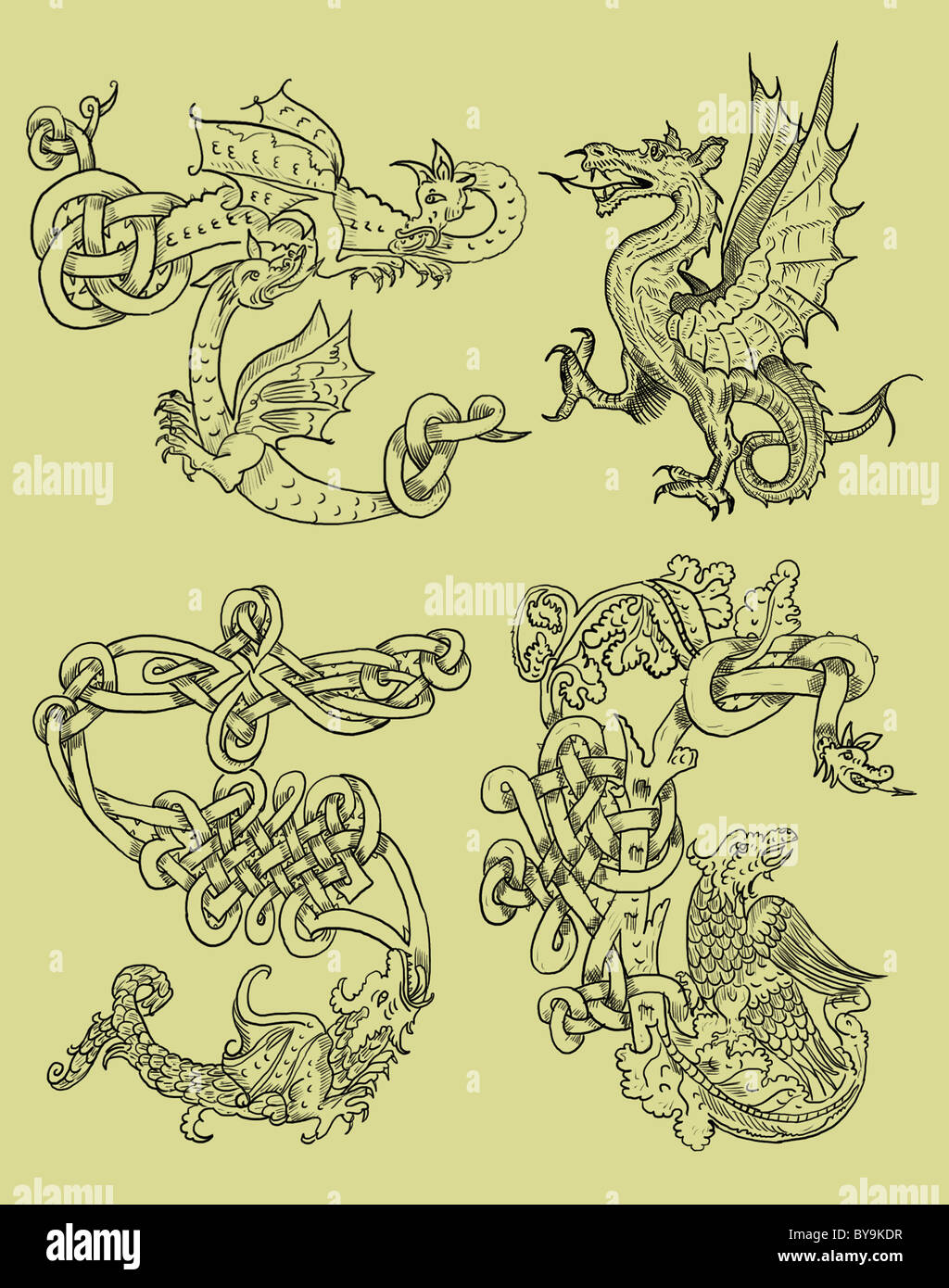 Dragons inicials illustration Stock Photo - Alamy