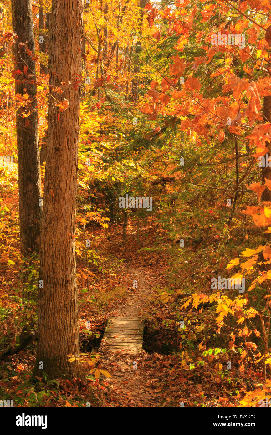 Ridge Trail, Burgess Falls State Park, Sparta, Tennessee, USA Stock ...