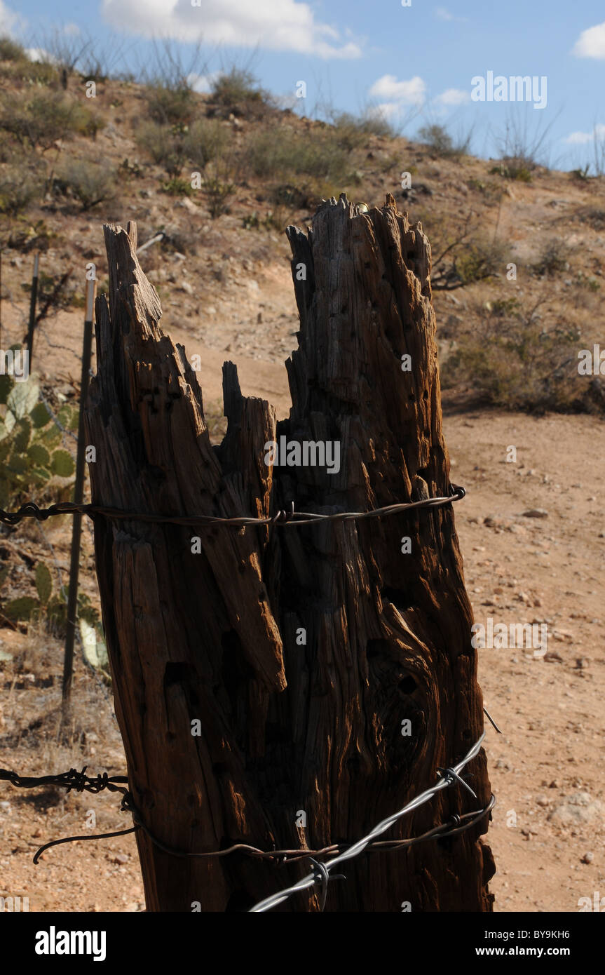 Barbed wire fence in desert hi-res stock photography and images - Alamy