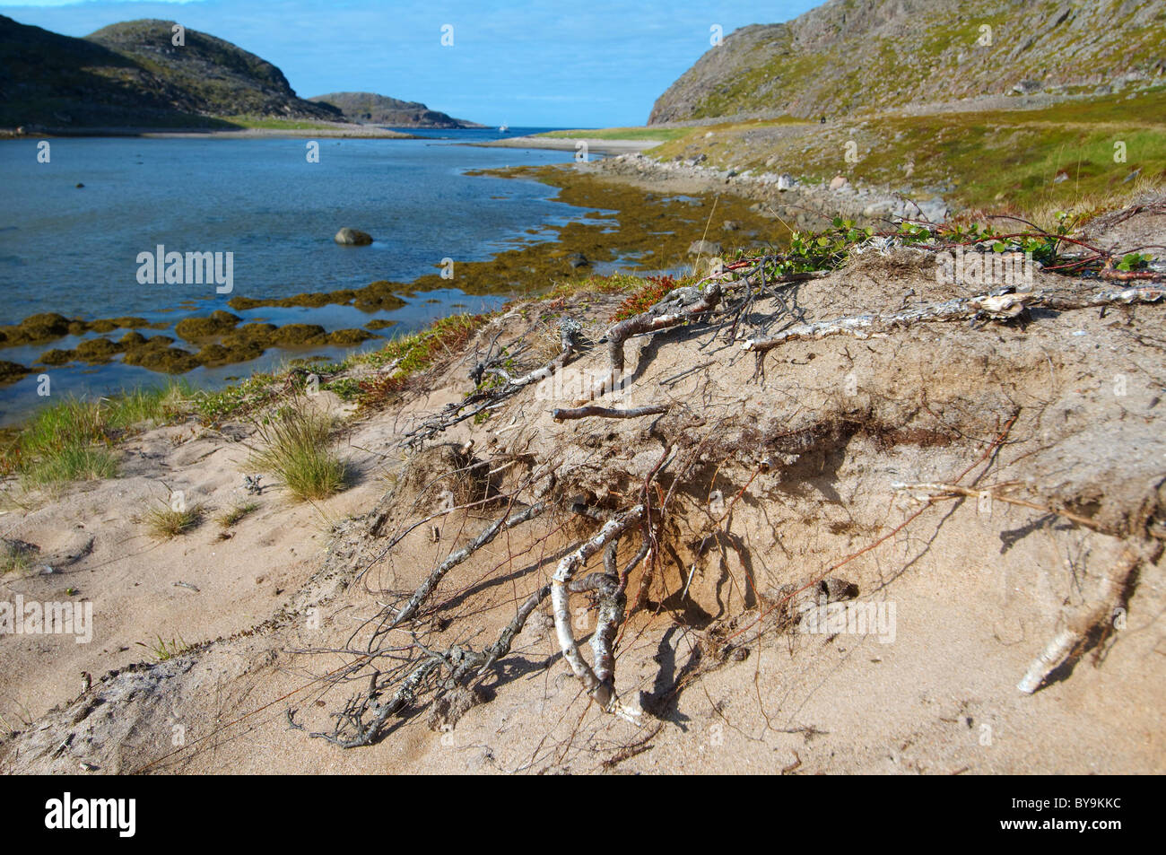 landscape Barents Sea, Arctic regions, Russia Stock Photo - Alamy
