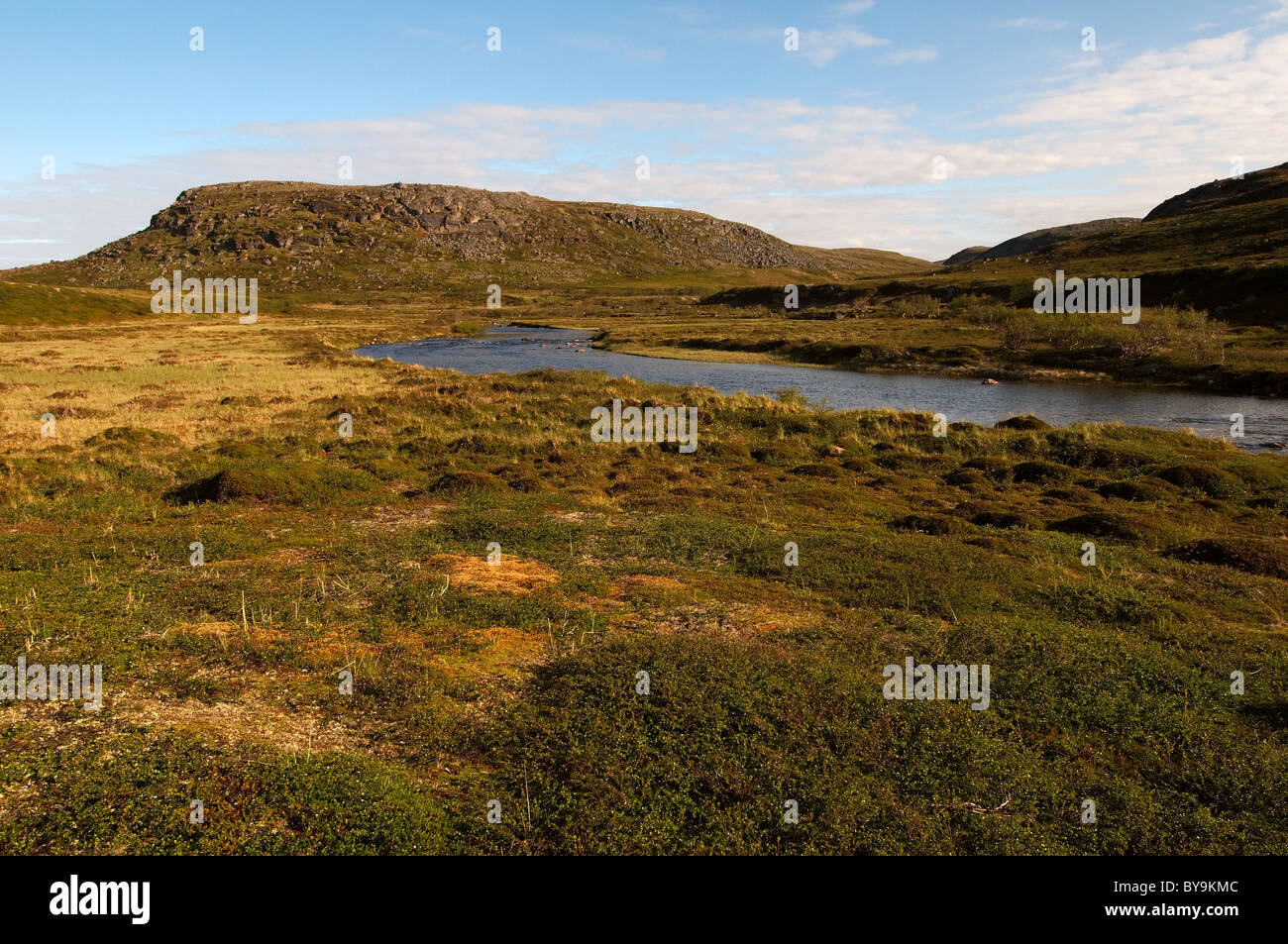 landscape Barents Sea, Arctic regions, Russia Stock Photo - Alamy