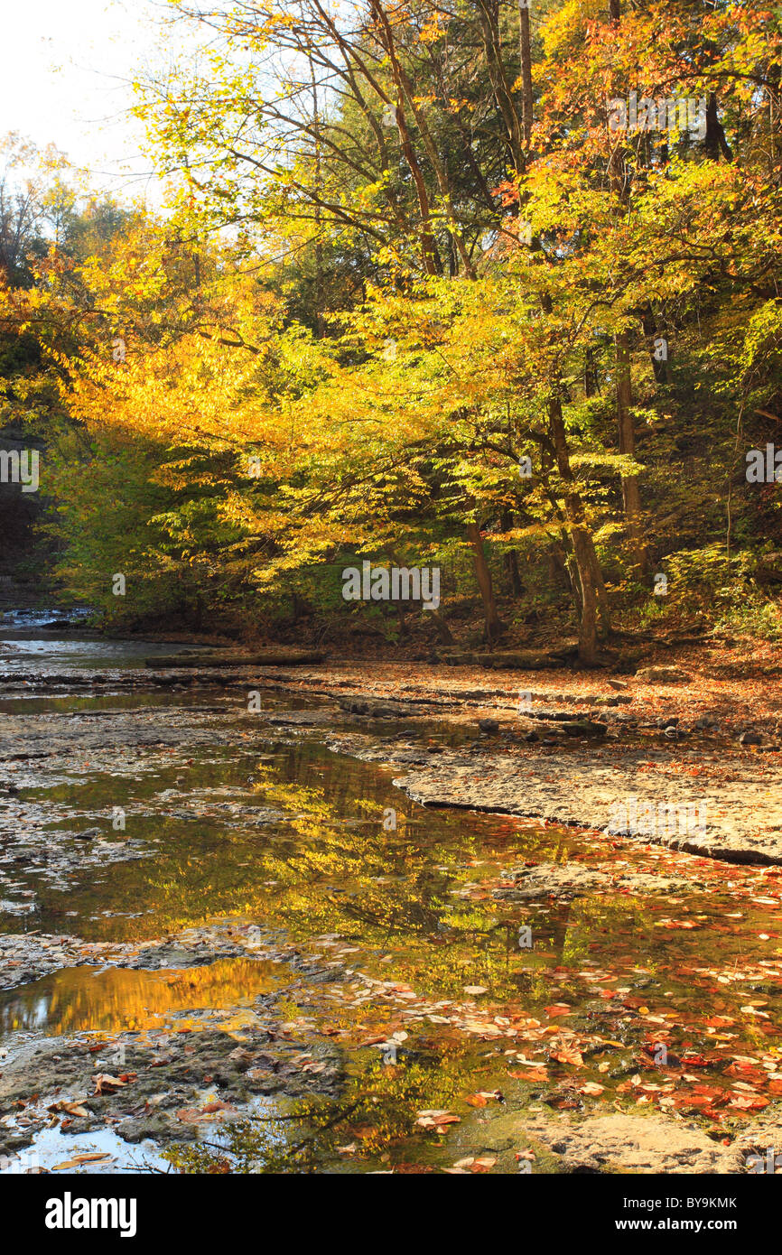 River Trail, Falling Water River above Big Falls, Burgess Falls State ...