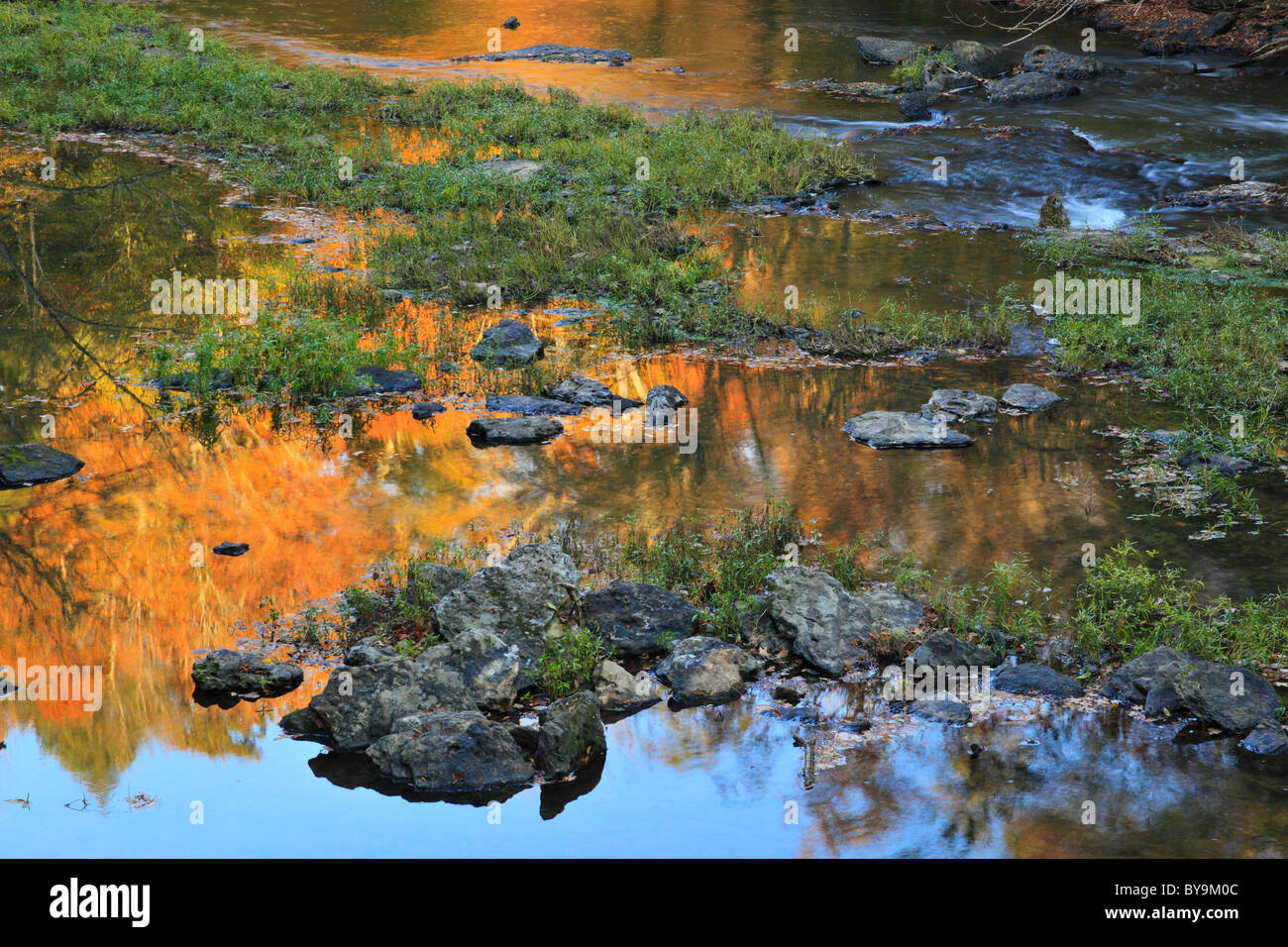 Colored trees reflected in Falling Water River, River Trail, Burgess ...