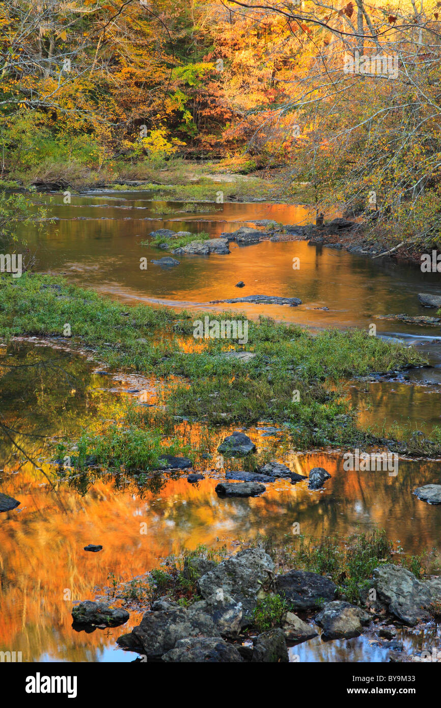 Colored trees reflected in Falling Water River, River Trail, Burgess ...