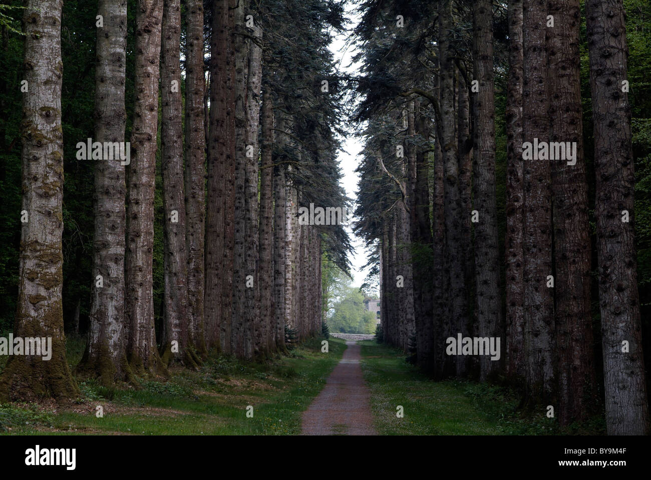 Woodstock walk hi-res stock photography and images - Alamy